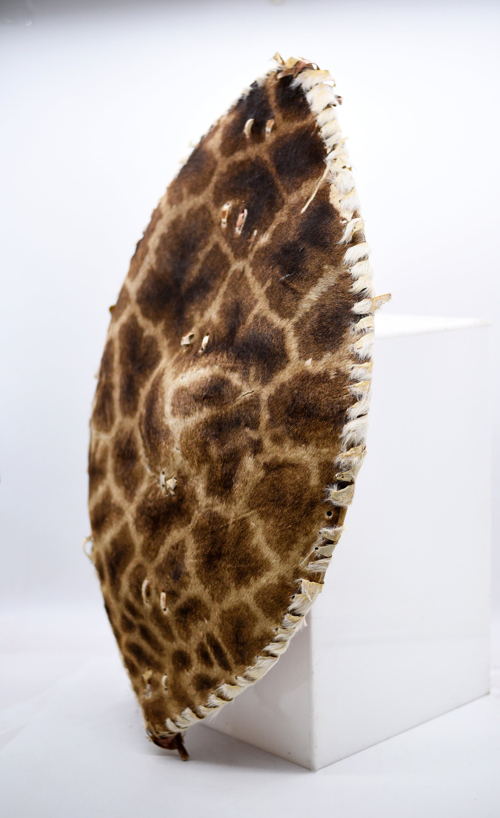 Vintage Zulu Handmade African Giraffe Hide Warrior Shield – Firebird ...